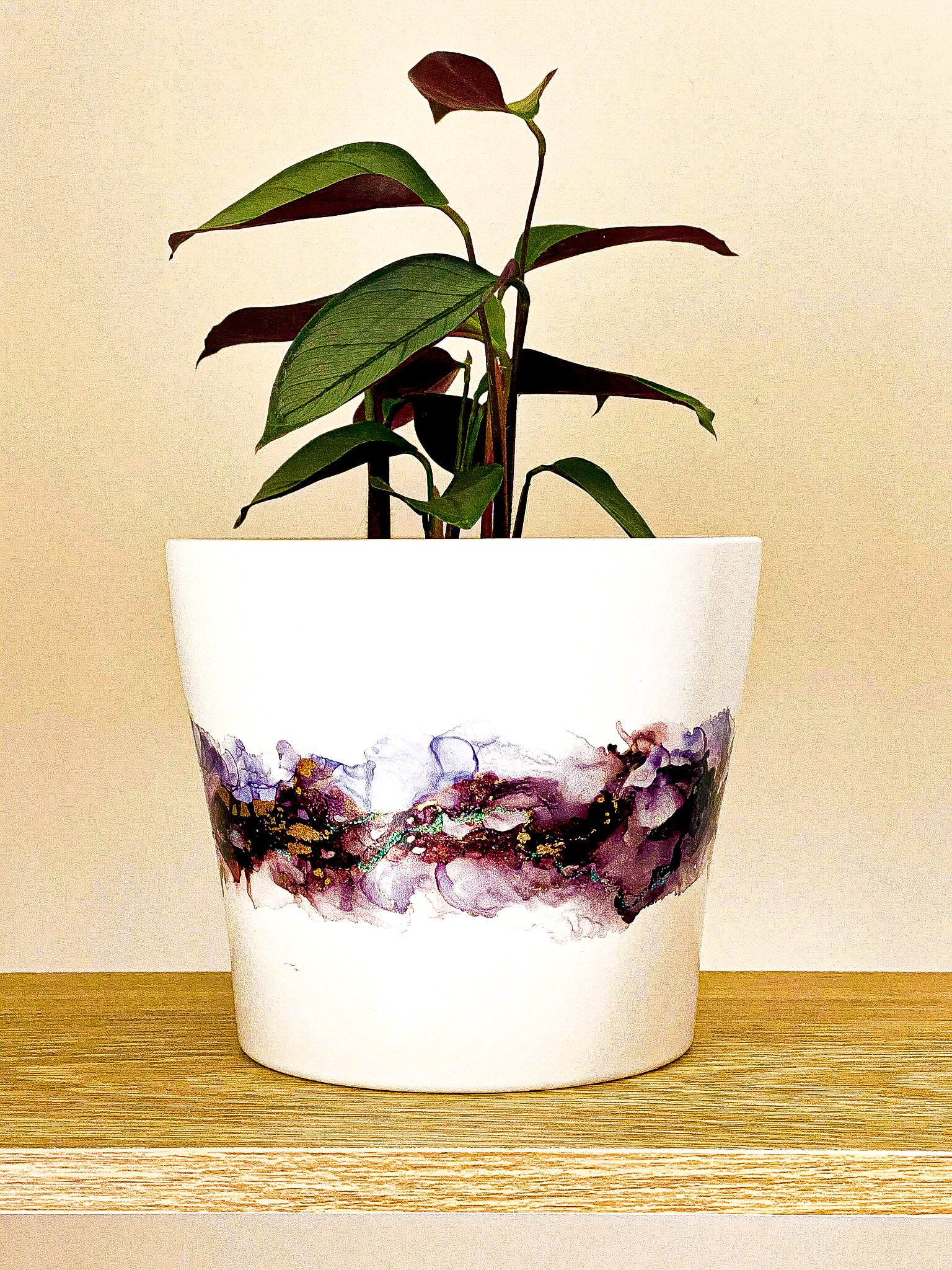 Mid-sized Hand-painted Planters | Allettare Dezigns